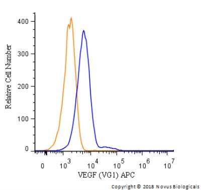 VEGF Antibody (VG1) [Allophycocyanin] (NB100-664APC): Novus Biologicals
